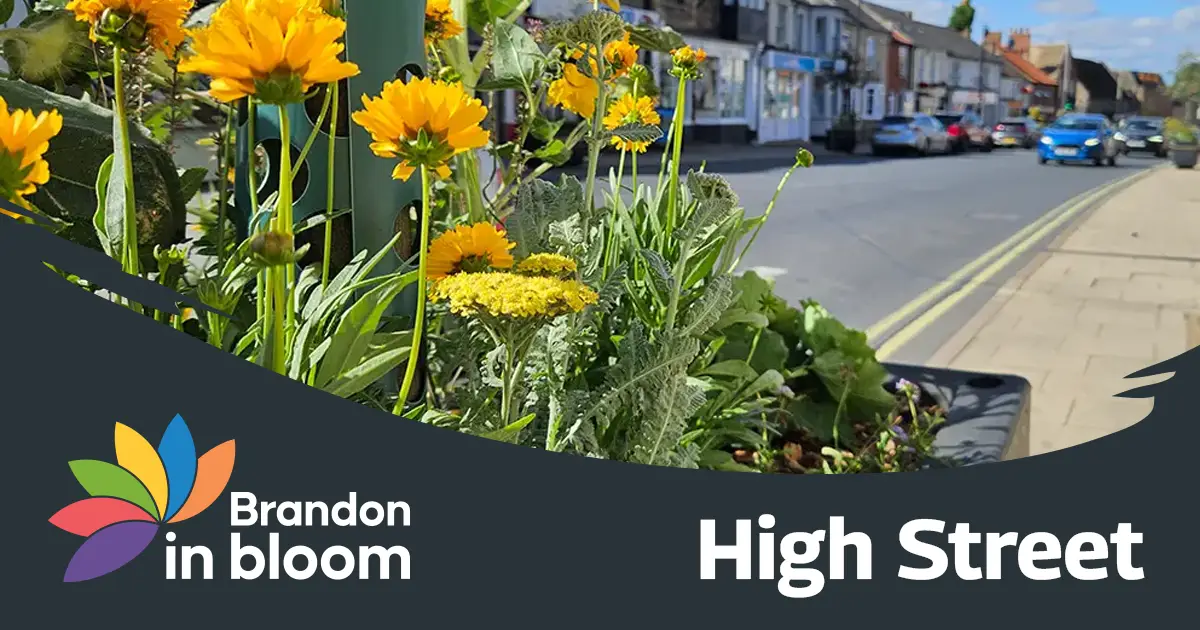 High Street - Brandon in Bloom