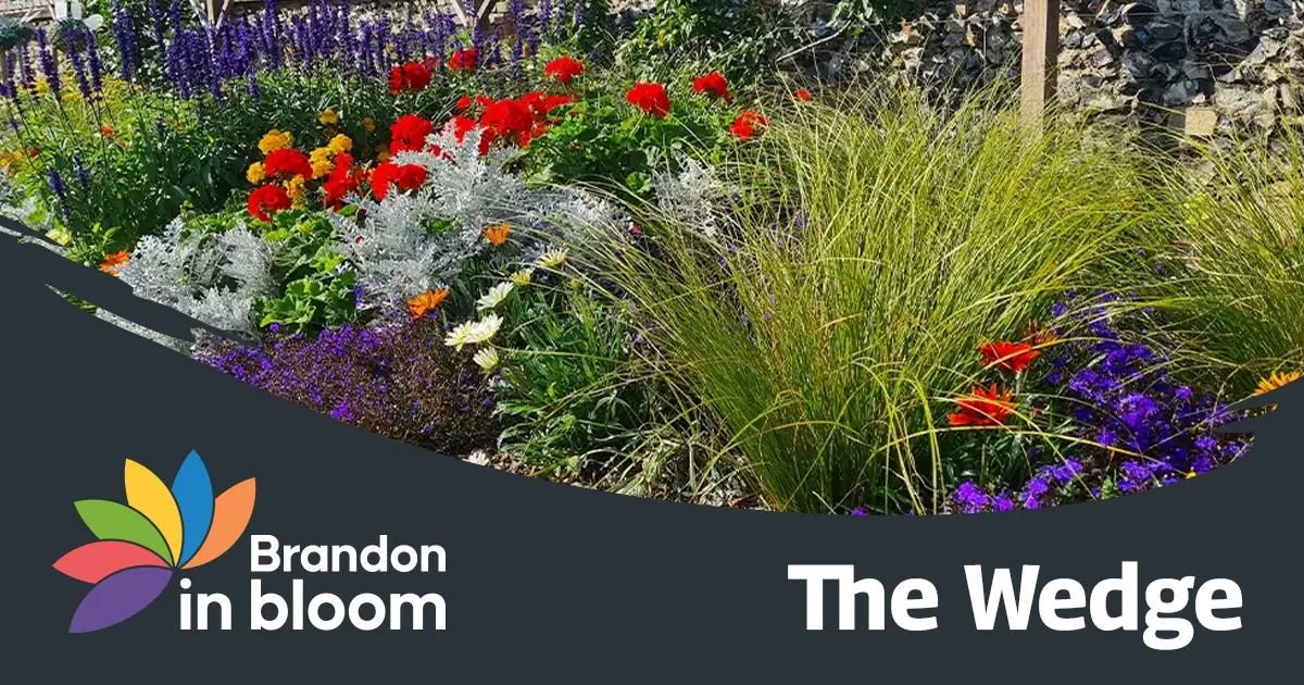 The Wedge - Brandon in Bloom