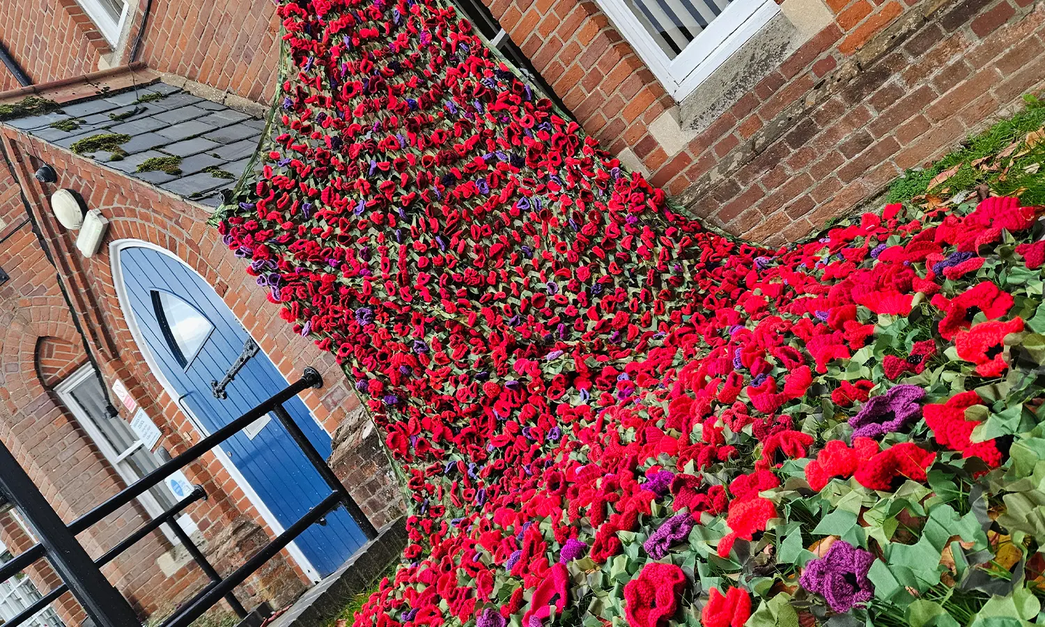 Teamwork brings remembrance displays - Brandon in Bloom